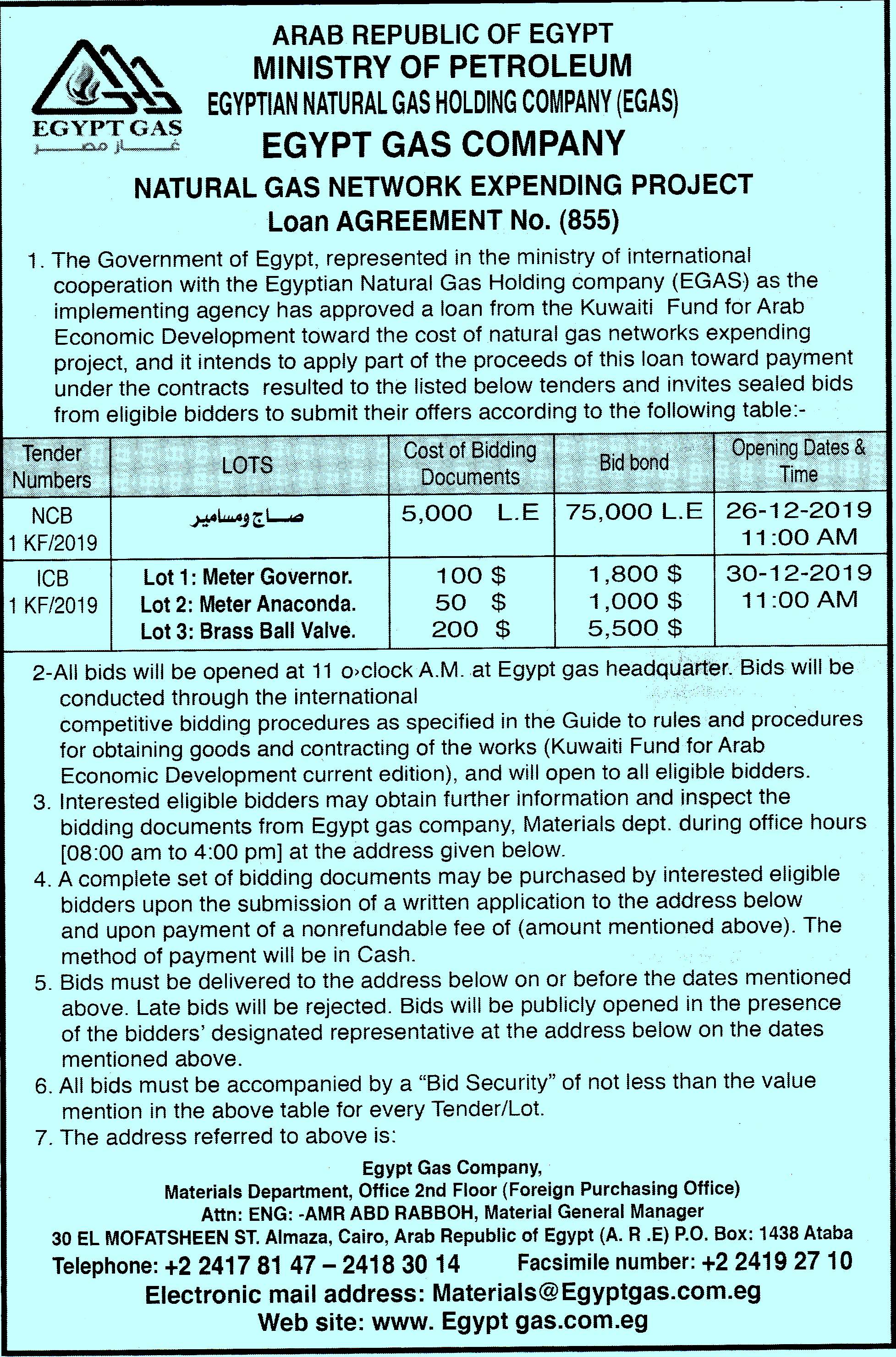 Ministry of petroleum egyptian natural gas holding company EGAS